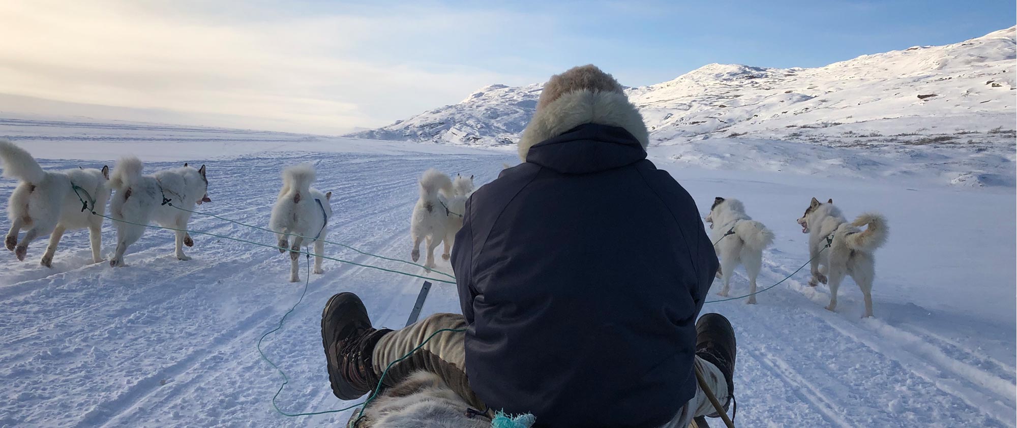 Hundeslæde, nordlys og hyttetur – Chanetts store vinteroplevelser ...